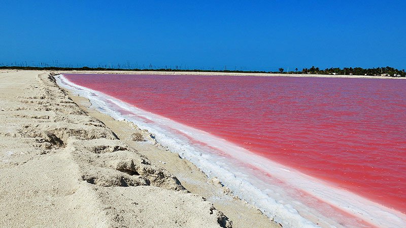 ¡Lago rosado en México! - Kebuena
