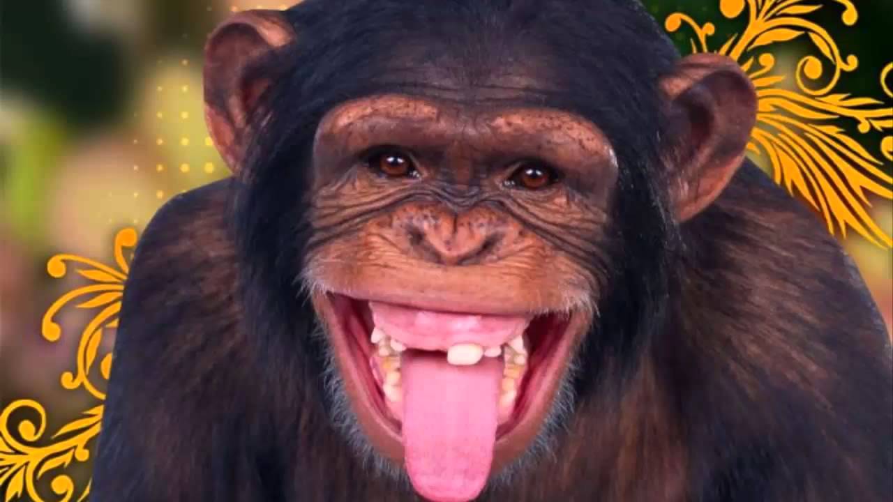 ¡Ríete con los Chato Cheto Chistes! - Kebuena