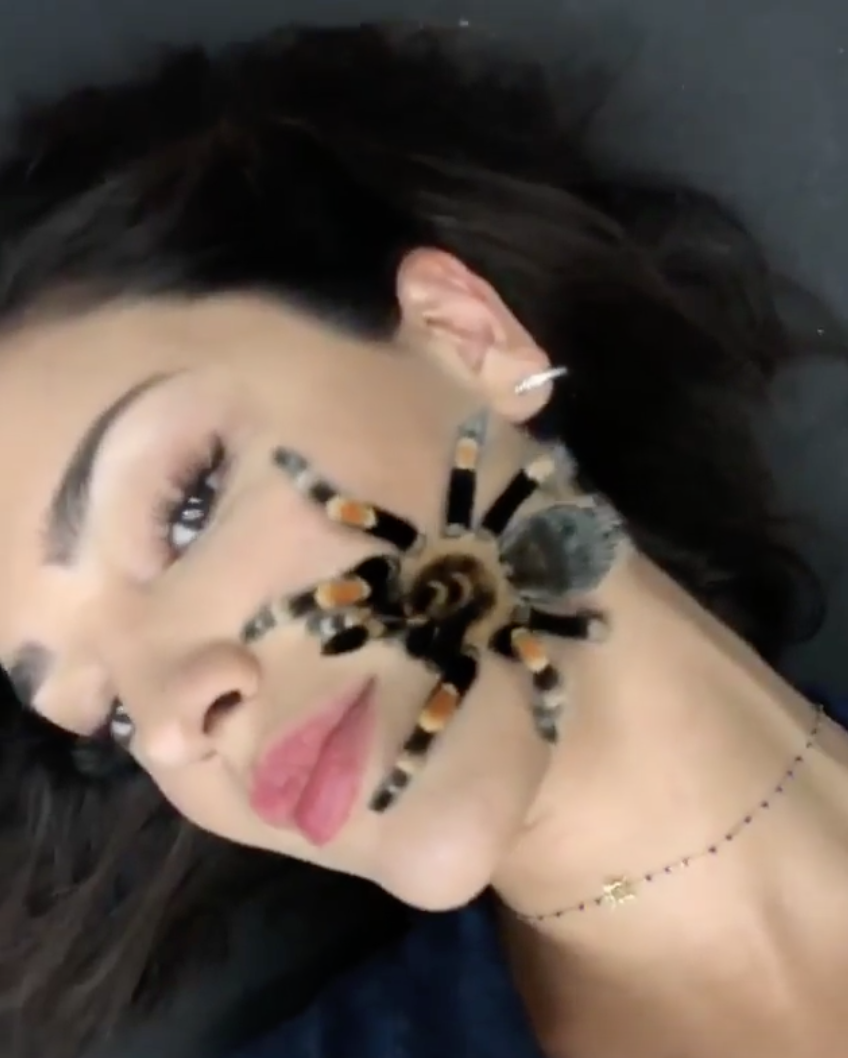 La tarántula en la cara de Eiza González que enloqueció las redes - Kebuena