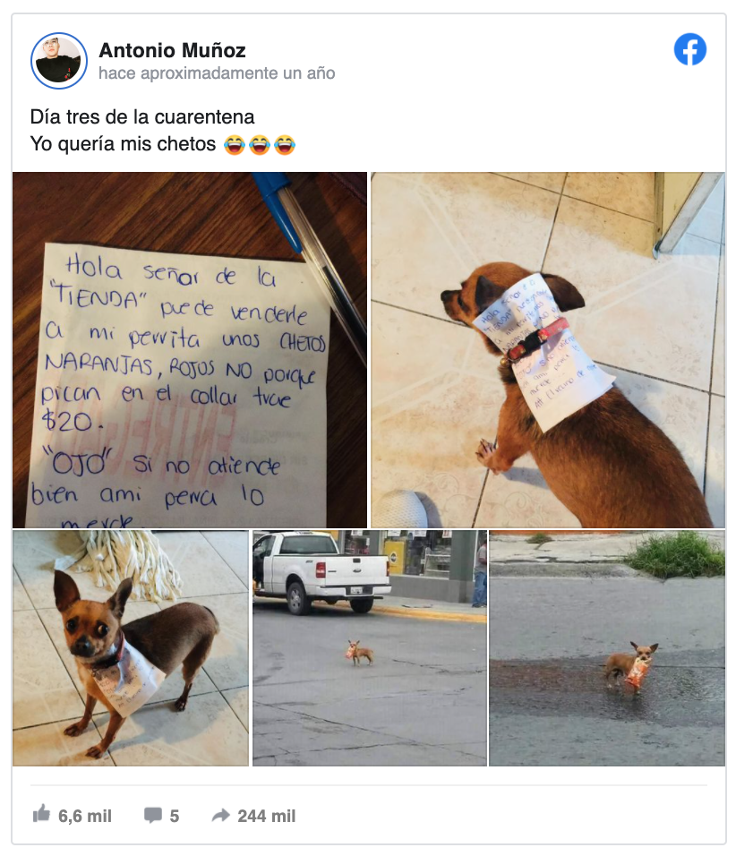 El meme de la perrita que mandan a la tienda y que se hizo viral