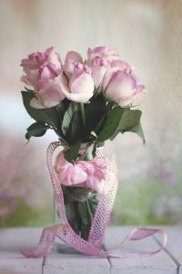 Checa el color de rosas que te regalan y su significado