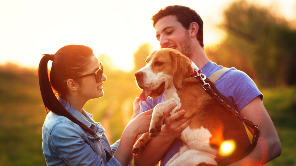 Día Del Mundial Del Perro ¿por Qué Se Festeja El 21 De Julio