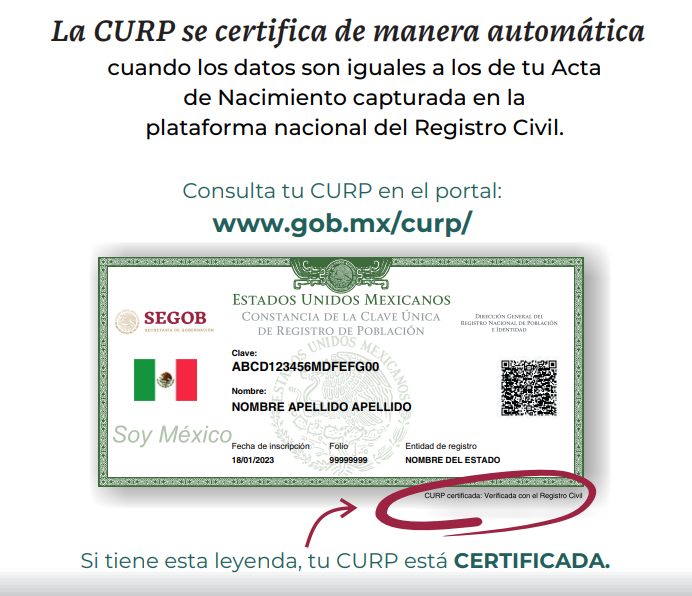 ¿Qué es el CURP certificado y cómo obtenerlo paso a paso?